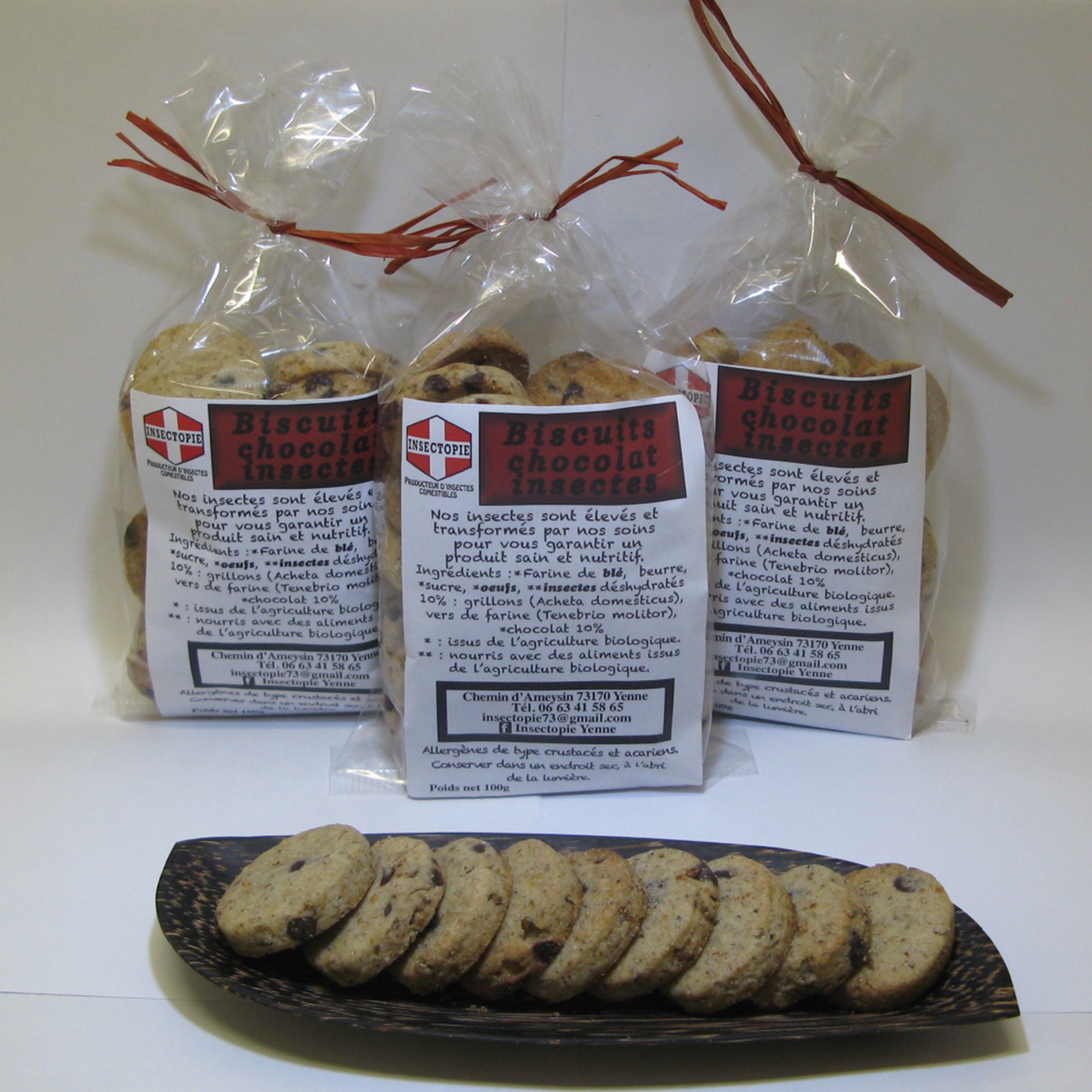 Biscuits d'Insectes au Chocolat Noir – Insectopie